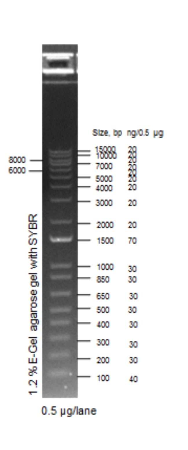 NEB Marker Ladder 알아보고 할인 받는 방법, 48% OFF