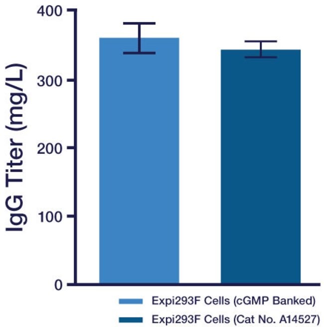 Comparison Of Vector Elements And Process Conditions In, 49% OFF