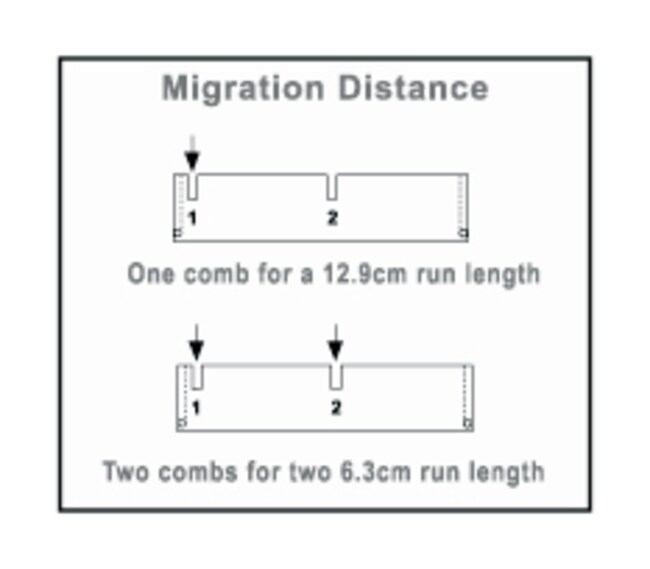 Owl™ EasyCast™ B2 and B3 Mini Gel Electrophoresis System Combs Rapid ...
