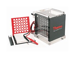 Owl™ VEP-2 Mini Tank Electroblotting System Replacement Parts