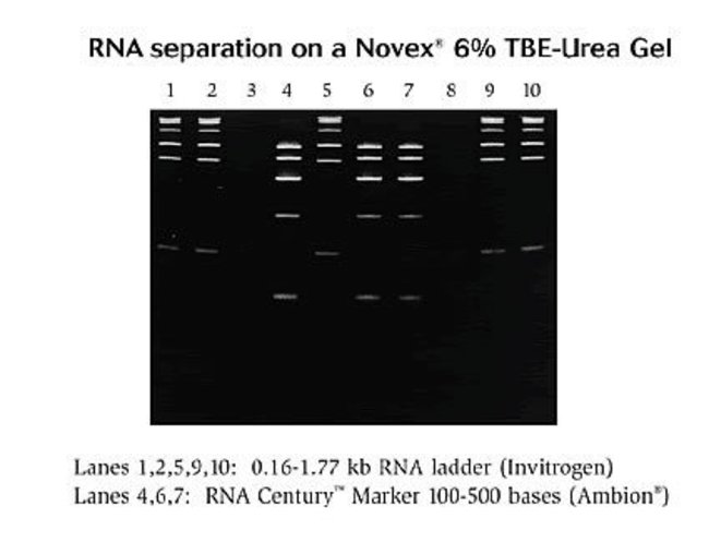 Tbe Page Gel Recipe | Bryont Blog