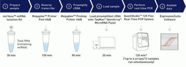 Mir Pcr Array