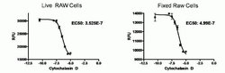 pHrodo™ BioParticles™ Conjugates for Phagocytosis and Phagocytosis Kit ...