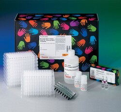 Pierce™ Microplate BCA Protein Assay Kit - Reducing Agent Compatible