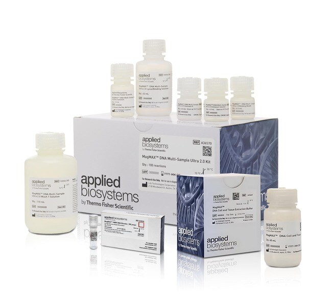 MagMAX™ HMW DNA Kit and Booster Kit | Buy Online | Applied Biosystems™