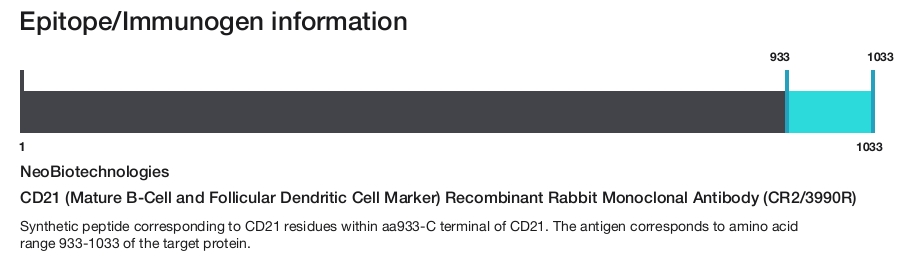 CD21 (Mature B-Cell and Follicular Dendritic Cell Marker) Recombinant ...