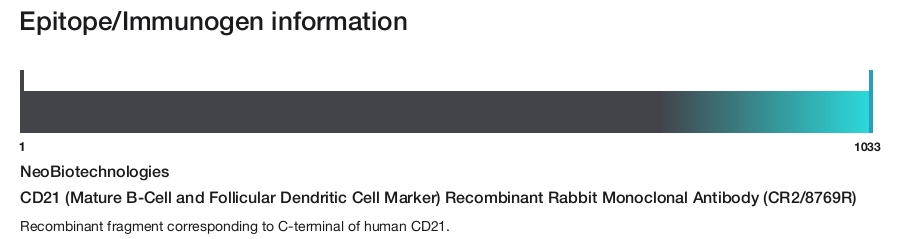 CD21 (Mature B-Cell and Follicular Dendritic Cell Marker) Recombinant ...