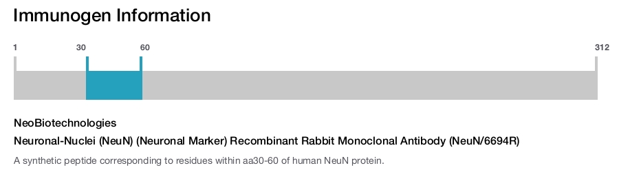 Neuronal-Nuclei (NeuN) (Neuronal Marker) Recombinant Monoclonal ...