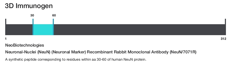 Neuronal-Nuclei (NeuN) (Neuronal Marker) Recombinant Monoclonal ...