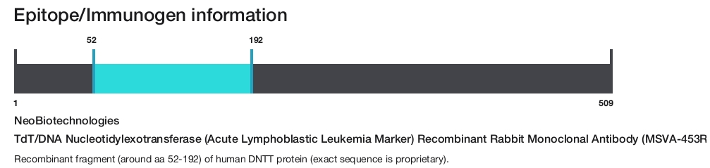 TdT/DNA Nucleotidylexotransferase (Acute Lymphoblastic Leukemia Marker ...