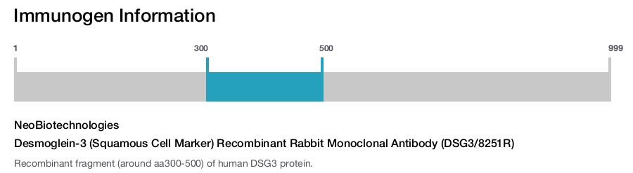 Desmoglein-3 (Squamous Cell Marker) Recombinant Monoclonal Antibody ...