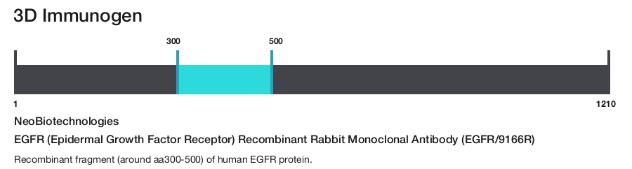EGFR (Epidermal Growth Factor Receptor) Recombinant Monoclonal Antibody ...