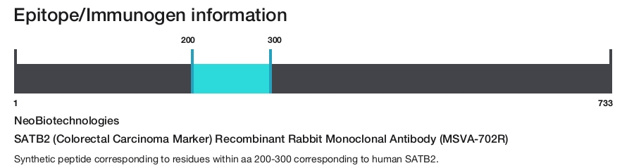 SATB2 (Colorectal Carcinoma Marker) Recombinant Rabbit Monoclonal ...