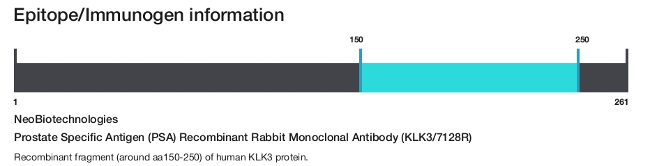 Prostate Specific Antigen (PSA) Recombinant Rabbit Monoclonal Antibody ...