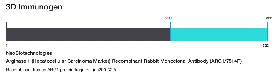 Arginase 1 (Hepatocellular Carcinoma Marker) Recombinant Monoclonal ...