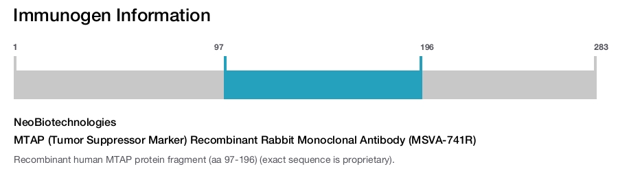 MTAP (Tumor Suppressor Marker) Recombinant Monoclonal Antibody (MSVA-741R) (4507-RBM5-P1)