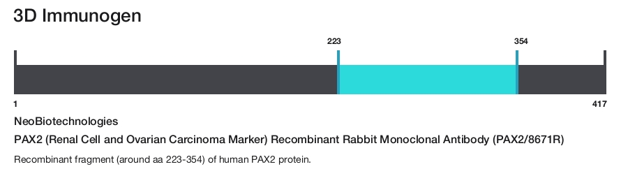PAX2 (Renal Cell and Ovarian Carcinoma Marker) Recombinant Monoclonal ...