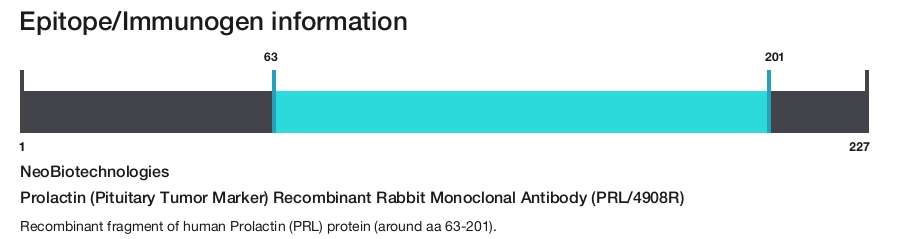 Prolactin (Pituitary Tumor Marker) Recombinant Rabbit Monoclonal ...