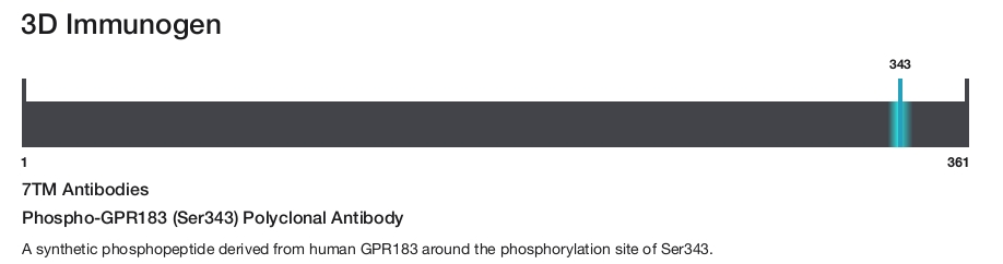 Phospho-GPR183 (Ser343) Polyclonal Antibody (7TM0081A)
