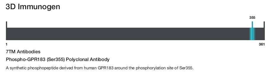 Phospho-GPR183 (Ser355) Polyclonal Antibody (7TM0081C)