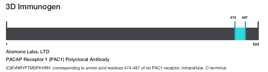 PACAP Receptor 1 (PAC1) Polyclonal Antibody (AVR-003-50UL)