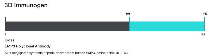 EMP3 Polyclonal Antibody (BS-5836R)