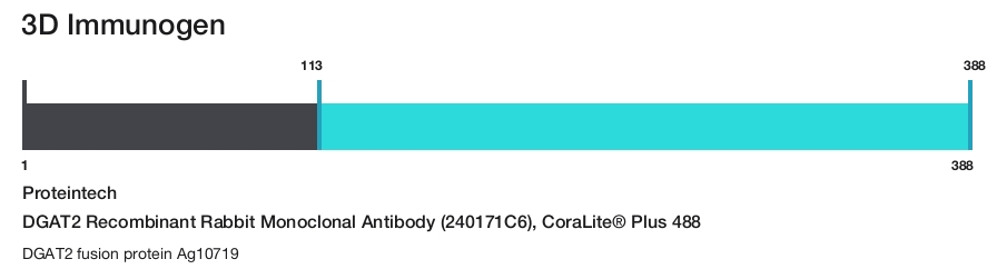 DGAT2 Recombinant Monoclonal Antibody (240171C6), CoraLite® Plus 488 ...