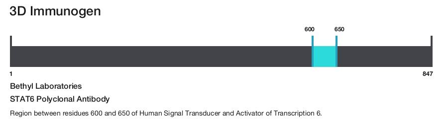 STAT6 Polyclonal Antibody (IHC-00209-T)