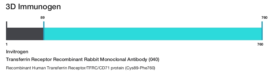 Transferrin Receptor Recombinant Monoclonal Antibody (040) (MA5-29600)