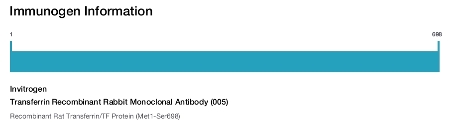 Transferrin Recombinant Monoclonal Antibody (005) (MA5-29871)