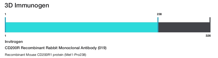 CD200R Recombinant Monoclonal Antibody (019) (MA5-30237)