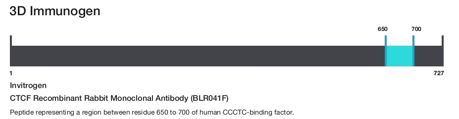 CTCF Recombinant Monoclonal Antibody (BLR041F) (MA5-44277)