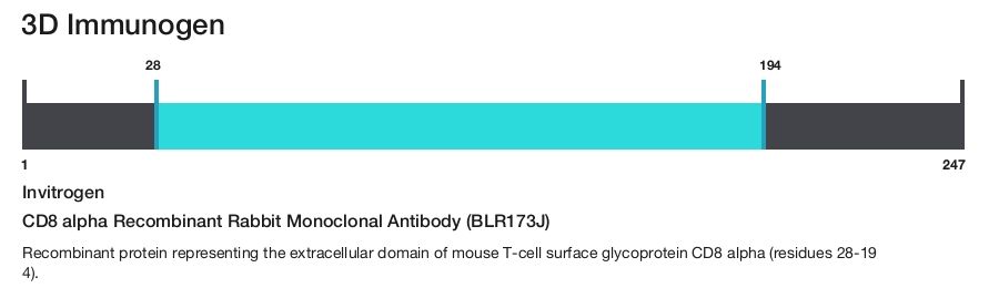 CD8 alpha Recombinant Monoclonal Antibody (BLR173J) (MA5-44532)