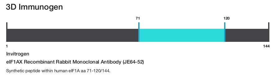 eIF1AX Recombinant Monoclonal Antibody (JE64-52) (MA5-44706)