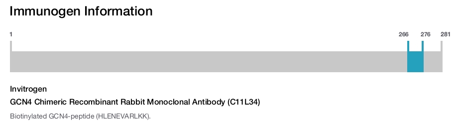 GCN4 Chimeric Recombinant Monoclonal Antibody (C11L34) (MA5-47958)