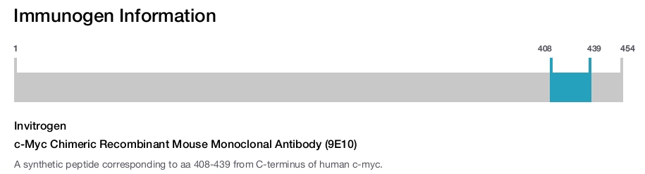 c-Myc Chimeric Recombinant Monoclonal Antibody (9E10) (MA5-51721)