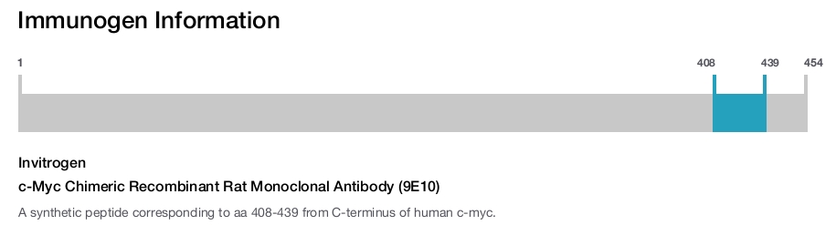 c-Myc Chimeric Recombinant Monoclonal Antibody (9E10) (MA5-51745)