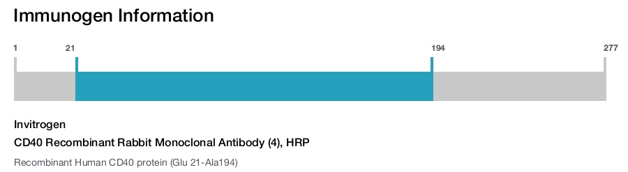 CD40 Recombinant Monoclonal Antibody (4), HRP (MA5-52242)