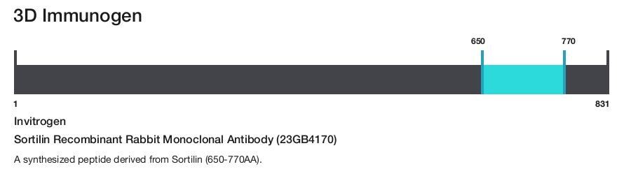 Sortilin Recombinant Monoclonal Antibody (23GB4170) (MA5-53702)