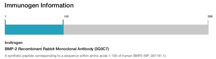 BMP-2 Recombinant Monoclonal Antibody (3Q0C7) (MA5-57904)