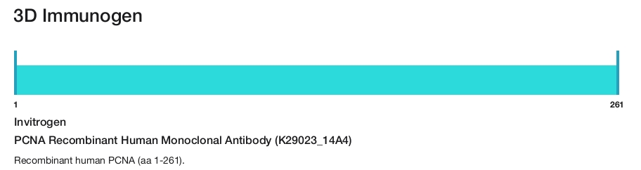 PCNA Recombinant Monoclonal Antibody (K29023_14A4) (MA563049)