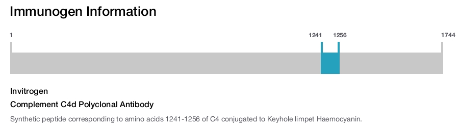 Complement C4d Polyclonal Antibody (PA1-85168)