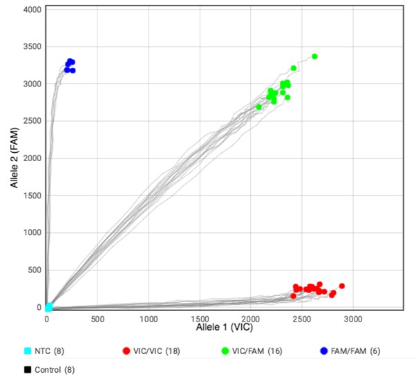 Interpreting scatter plots in genotyping experiments | Thermo Fisher ...