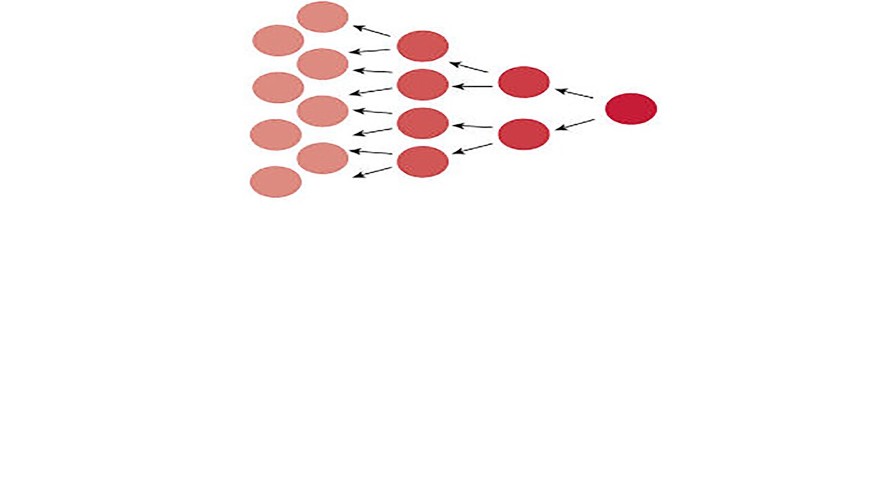 Studying Cell Proliferation Using CFSE? Get Advice From an Expert ...
