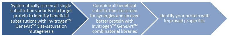 directed20evolution20workflow.jpg - Behind the Bench