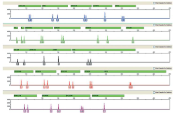 Capillary Electrophoresis (CE) or Next-Generation Sequencing (NGS) for ...