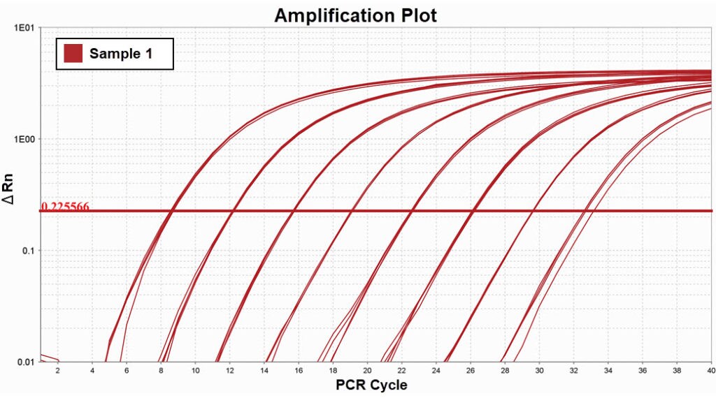The Purpose of ROX Reference Dye in Real-Time PCR (qPCR) - Behind the Bench
