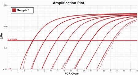 The Purpose of ROX Reference Dye in Real-Time PCR (qPCR) - Behind the Bench