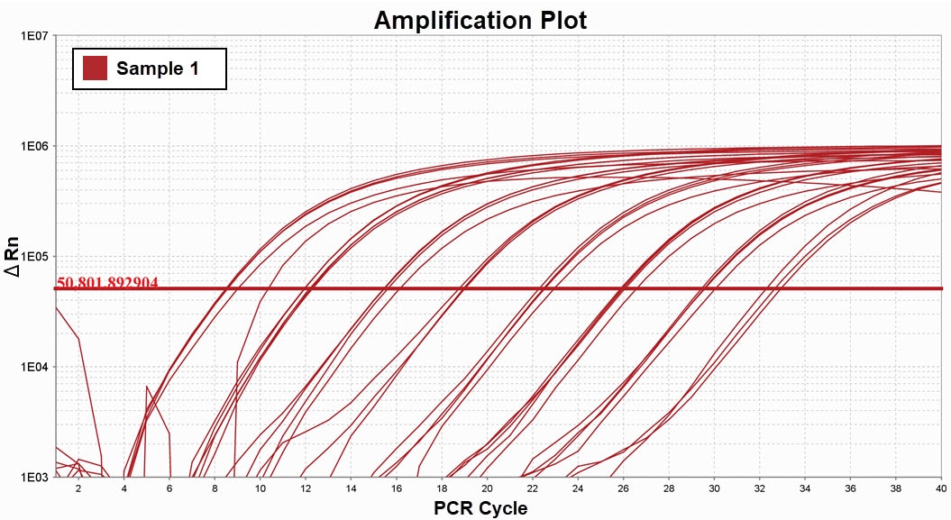 The Purpose of ROX Reference Dye in Real-Time PCR (qPCR) - Behind the Bench