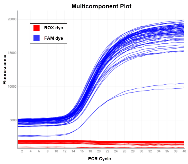 The Purpose of ROX Reference Dye in Real-Time PCR (qPCR) - Behind the Bench